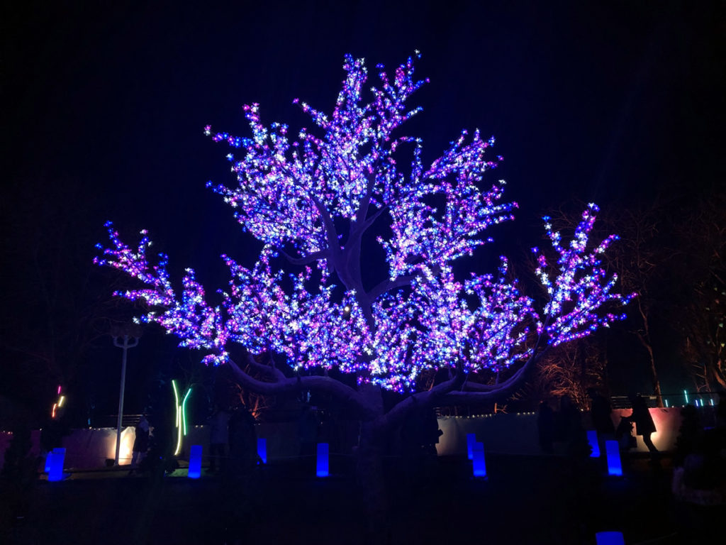 Scenes from our Toronto visit: Aurora at Ontario Place - The Adventures ...
