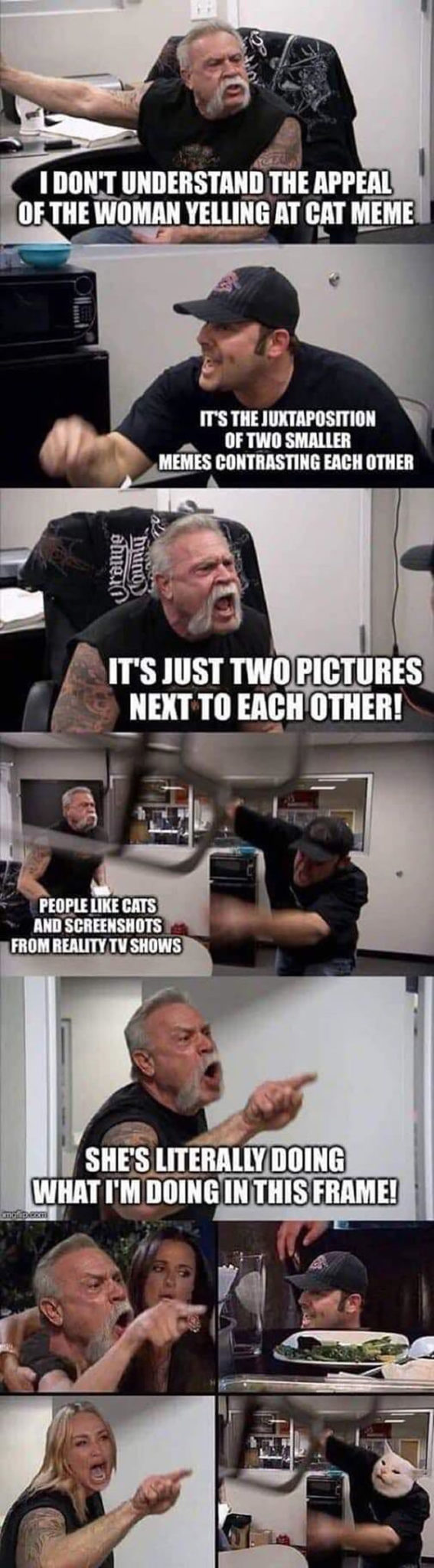 woman cat american chopper mash up meme - The Adventures of Accordion ...