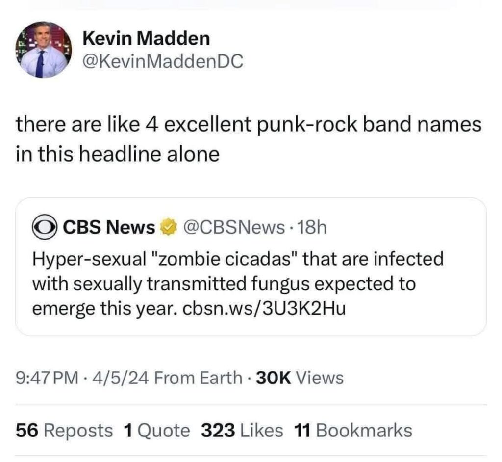 four excellent punk rock band names - The Adventures of Accordion Guy ...